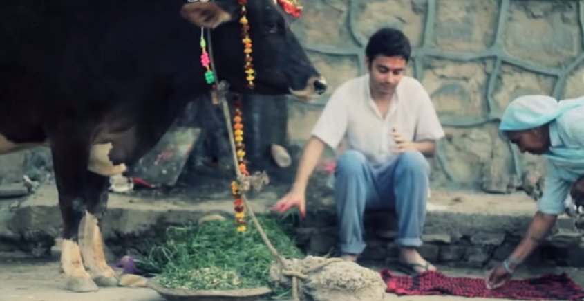 This Guy Turns A Cow Into A Holy Cow. When You See Why, You’ll Realize ...