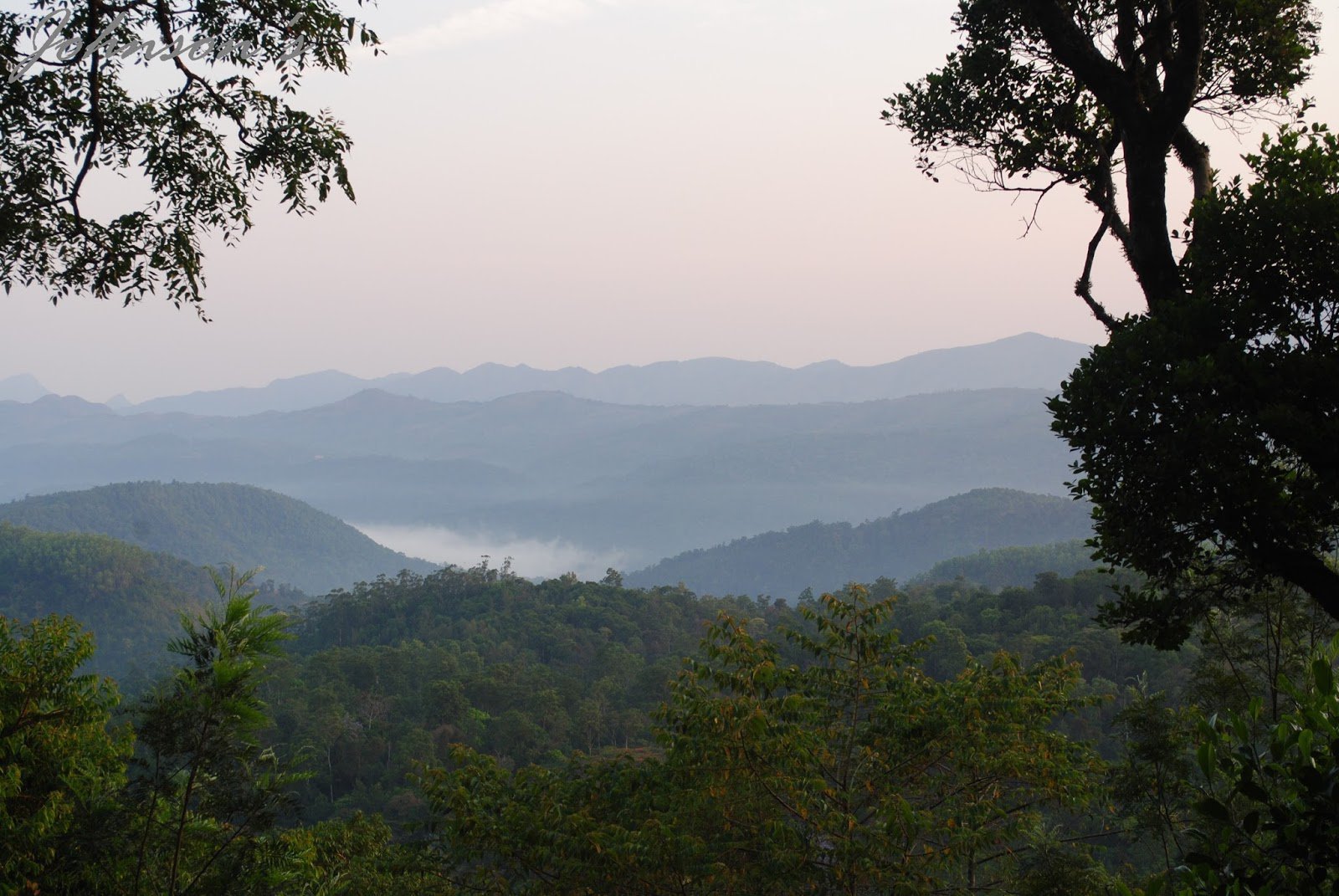 16 Reasons Why Coorg Should Be Your Next Travel Destination - ScoopWhoop