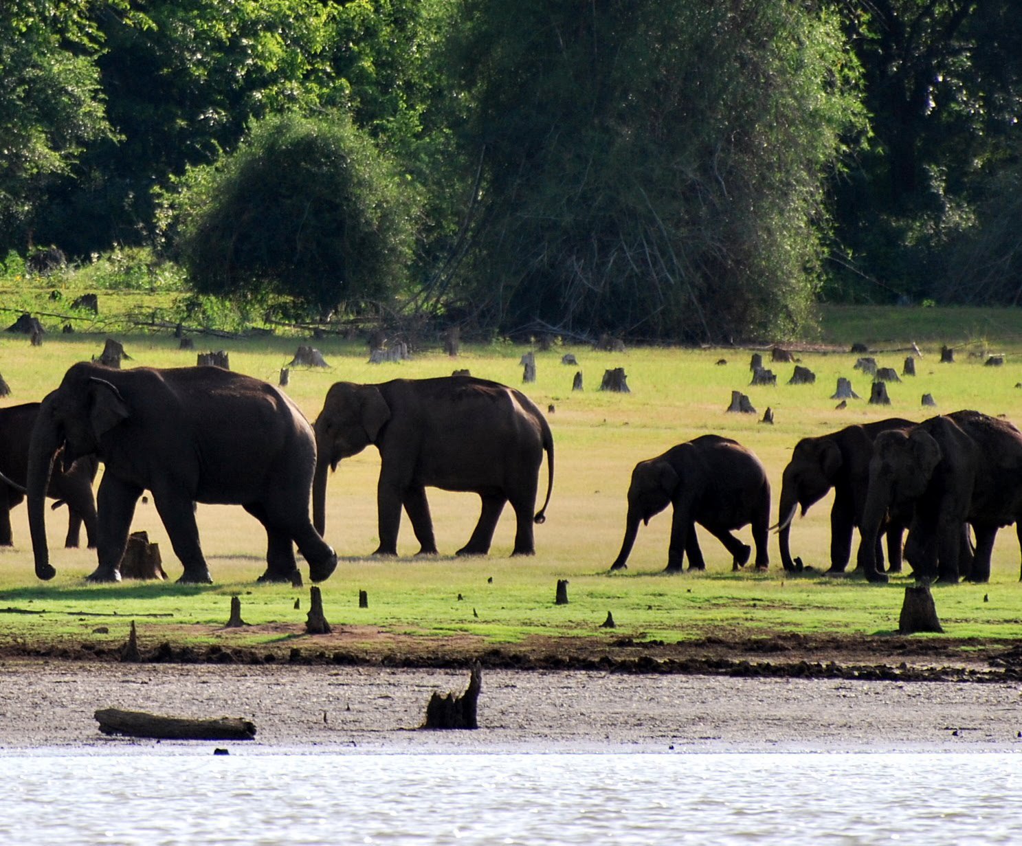 16 Reasons Why Coorg Should Be Your Next Travel Destination - ScoopWhoop