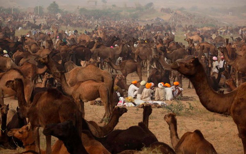 24 Unusual Rituals And Festivals of India That Will Give You Goosebumps ...