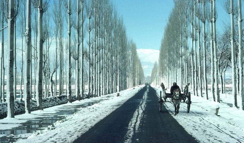 15 Captivating Photos Of The Most Beautiful Indian Winters - ScoopWhoop
