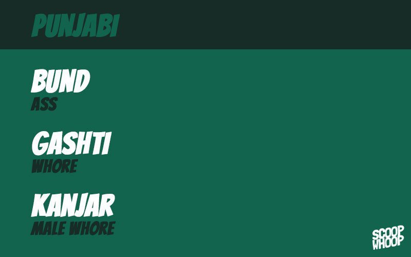 Indian Swear Words In 17 Indian Languages | Bad Words In Hindi