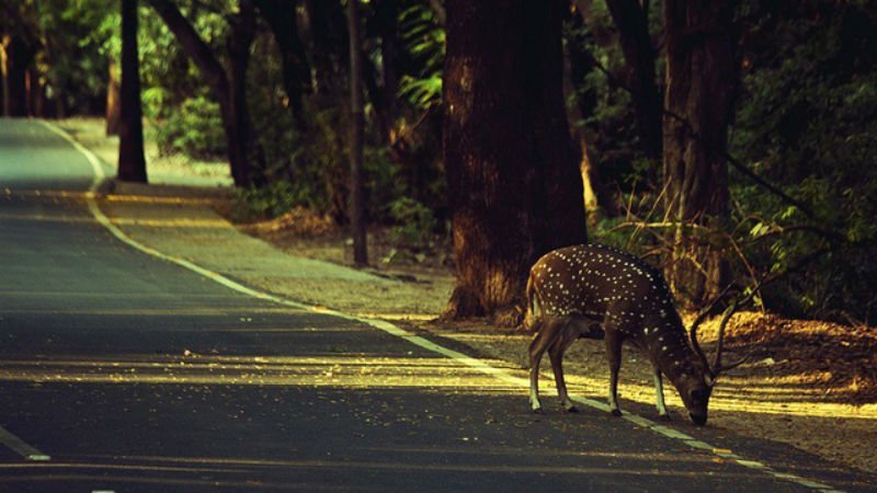 16 Exceptionally Beautiful College Campuses In India - ScoopWhoop