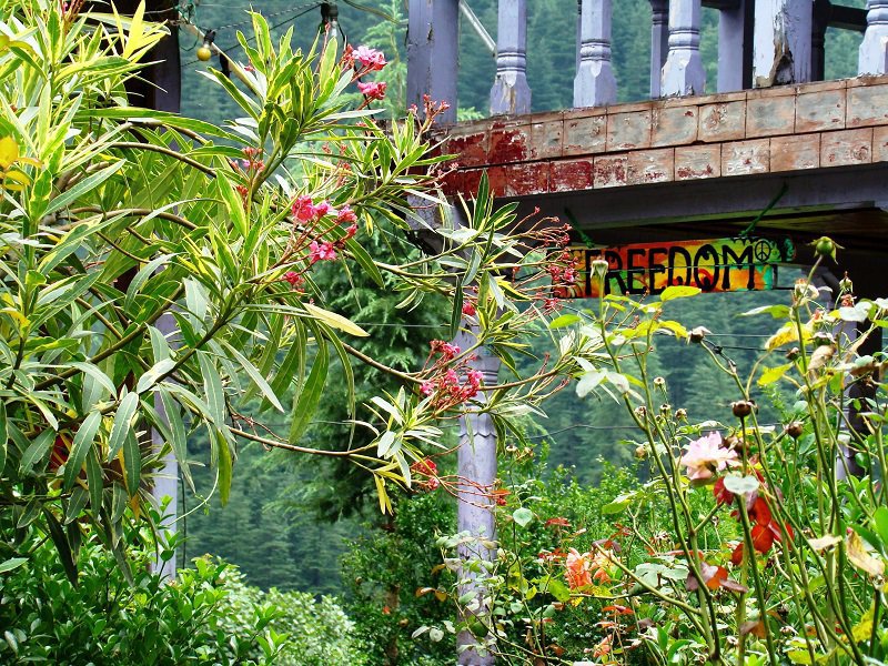 14 Trippy Places In India Where Getting High Feels Better Than Ever ...