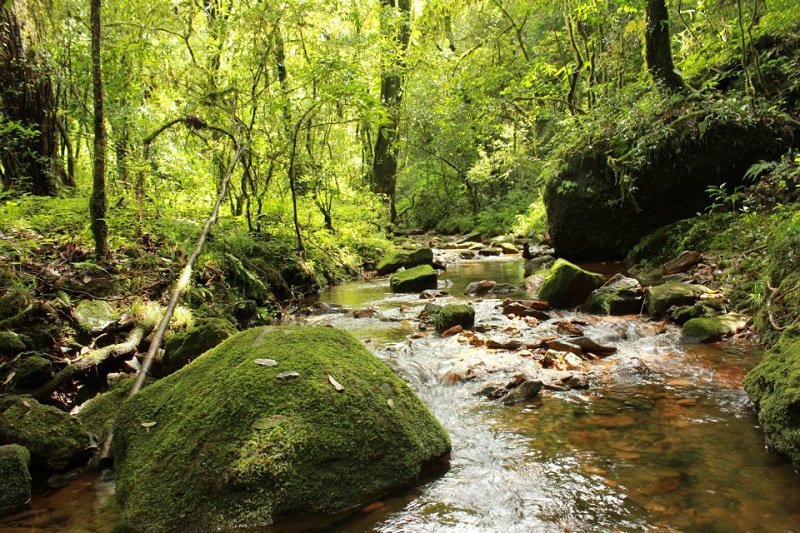 14 Trippy Places In India Where Getting High Feels Better Than Ever