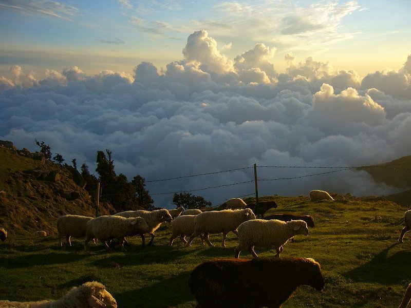 14 Trippy Places In India Where Getting High Feels Better Than Ever ...