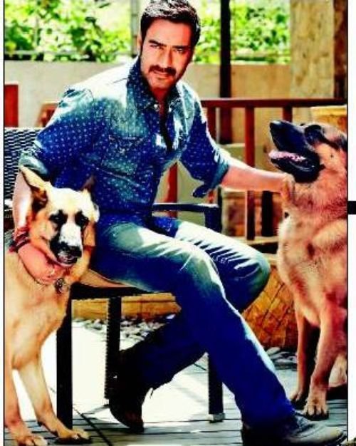 29 Photos Of Bollywood Celebrities With Their Super Adorable Pets ...