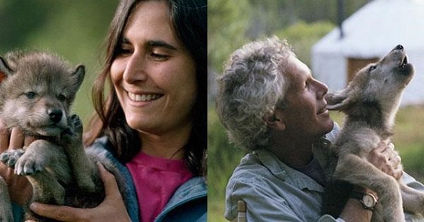 This Couple Lived With Wolves For 6 Years In The Wilderness. Their ...
