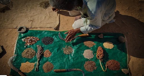 3.5 Million Farmers In Uttarakhand Feed Themselves By Using This ...