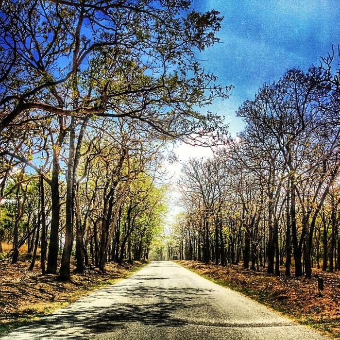 Walking On These Trails In India Is Better Than A Walk In The Clouds ...