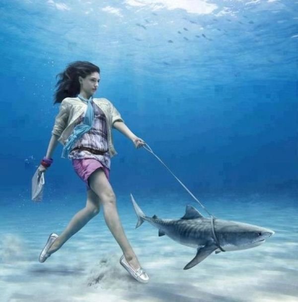 20 Times People Went Overboard With Exotic Pets - ScoopWhoop