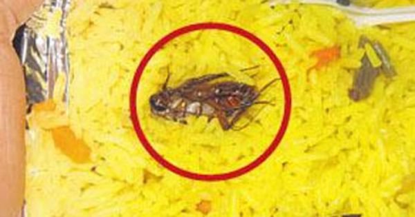Cockroach Biryani Leads To Munna Bhai Style Protest Against Restaurant ...