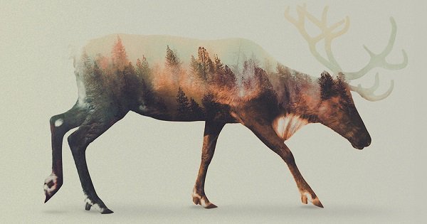 These Double Exposure Portraits By A Norwegian Artist Perfectly Capture ...