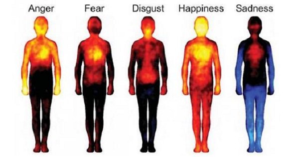 These Heat Maps Show Exactly How Different Emotions Affect Your Body ...