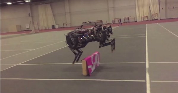 Be Scared. MIT’s Robot Cheetah Can Now Jump Obstacles Without Losing ...