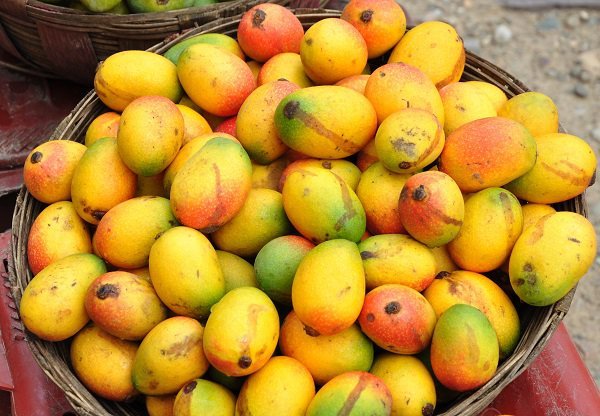15 Signs That You Have A Serious Mango Addiction - ScoopWhoop