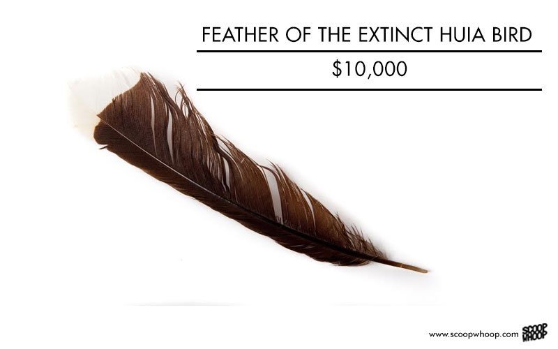 17 Most Expensive Things In The World | Top Most Costly Things In The World