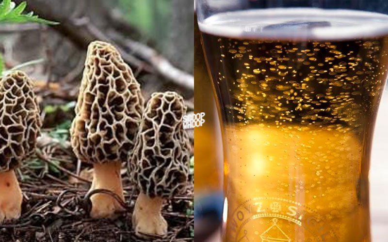 6 Harmful Food Combinations | 6 Wrong Food Mixtures