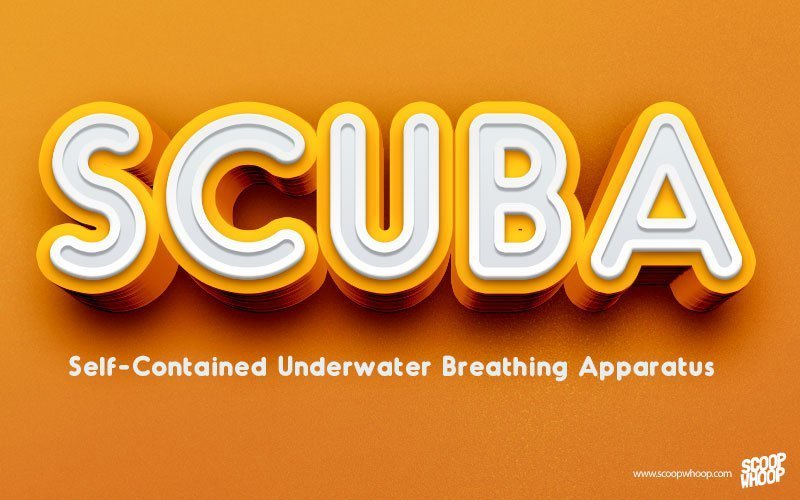 56 Common Short Forms | 56 Short50+ Common Short Forms | Short Forms ...