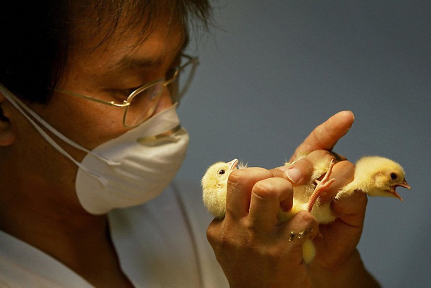 21 Weird Jobs Around The World | 21 Unusual Professions In The World