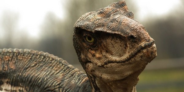 Movie Review: Jurassic World Has To Be The Most Unscary Monster Movie ...