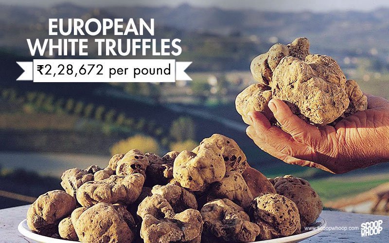 Top 10 Unbelievably Expensive Food Items In The World - ScoopWhoop
