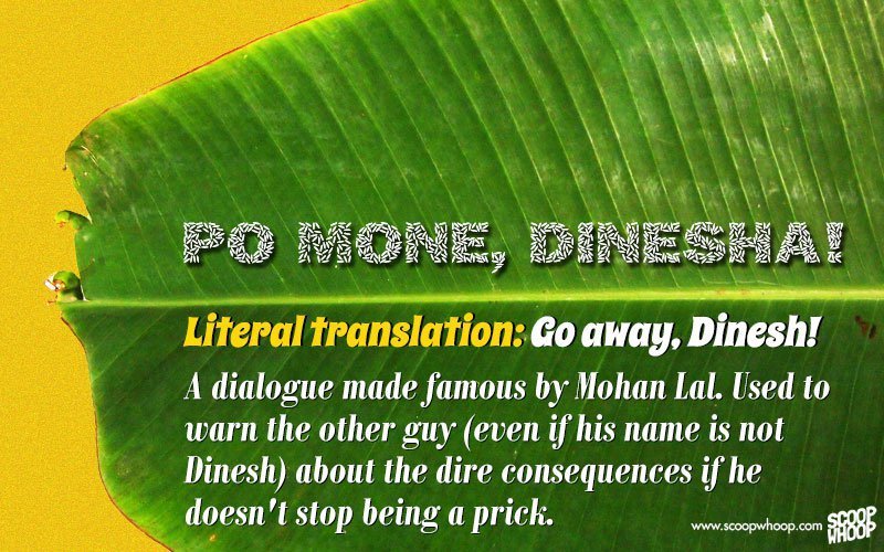 15 Quirky Malayalam Words | 15 Slangs In Malayalam To Add In Your Vocab
