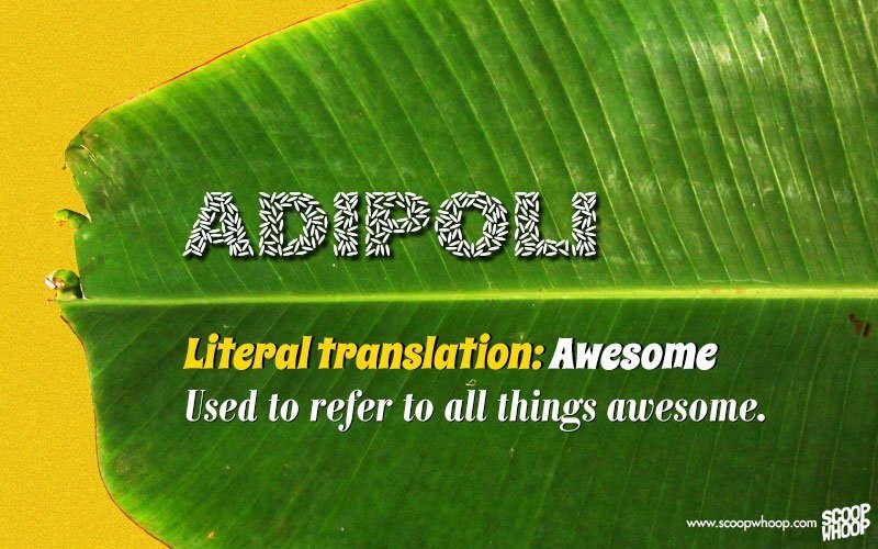 15 Quirky Malayalam Words | 15 Slangs In Malayalam To Add In Your Vocab