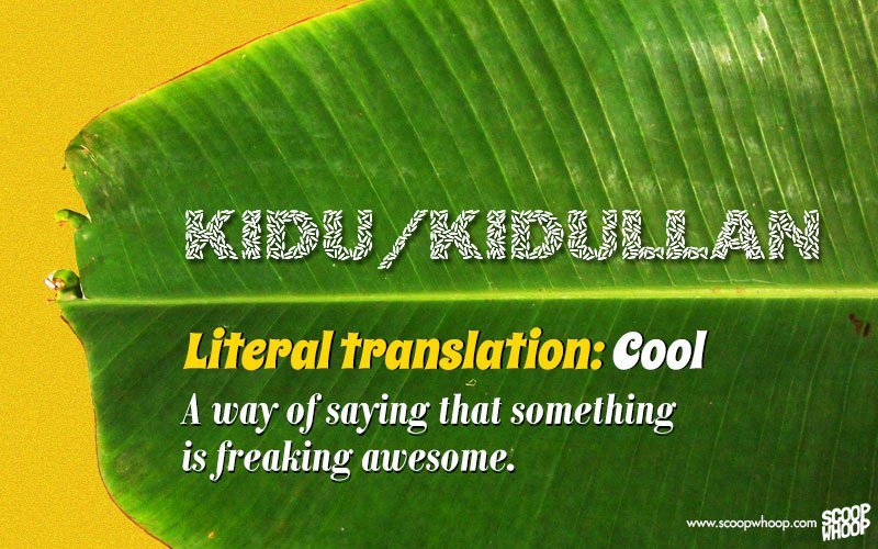 15 Quirky Malayalam Words | 15 Slangs In Malayalam To Add In Your Vocab