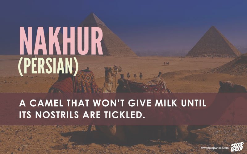 18 Weird Situations That Actually Have Words To Describe Them - ScoopWhoop