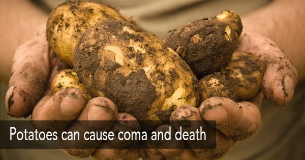 These Are 10 Of The Scariest Foods In The World - ScoopWhoop