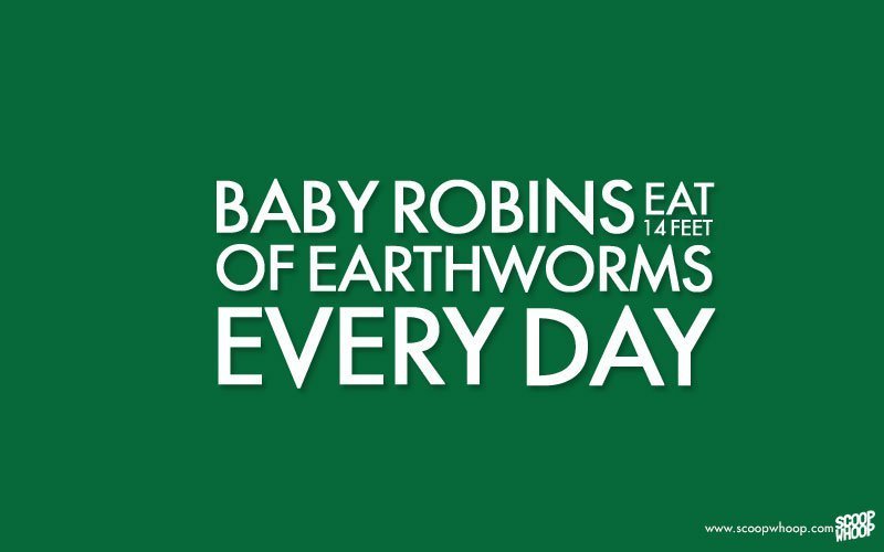 100 Of The Most Random Facts That Are Perfect To Kick Start Your Day ...