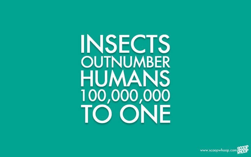 100 Of The Most Random Facts That Are Perfect To Kick Start Your Day ...