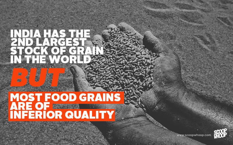 These Posters Show The Irony Of The Indian Govt’s Projects To Eliminate ...