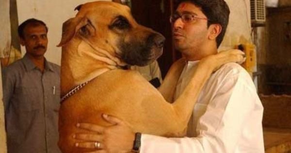 Raj Thackarey’s Wife Bitten By Pet Dog, Gets 65 Stitches During Facial ...