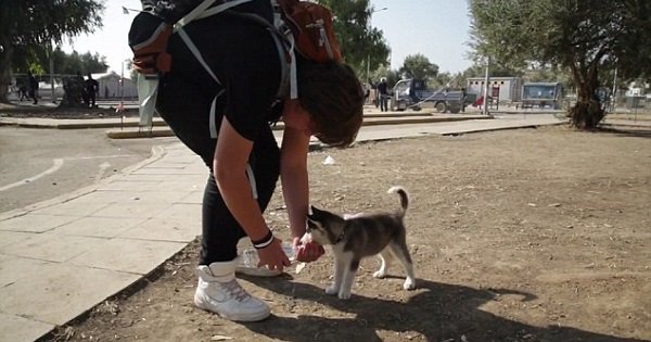 17-Year-Old Syrian Refugee Walked More Than 500km Into Europe With His ...