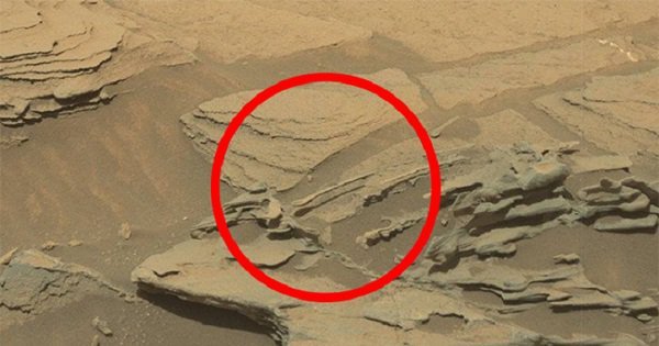 NASA’s Rover Spots Hovering Spoon On Mars. What Are The Neighbours ...