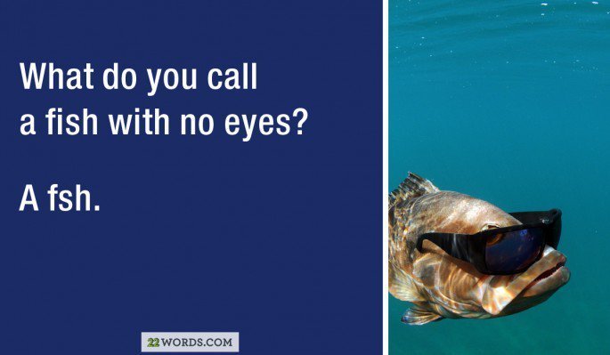 23 Clever One Liners | 23 Best Witty One Liners