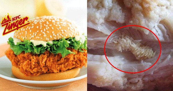 Mangalore Couple Finds Worms In KFC’s Zinger Burger, After Eating ...