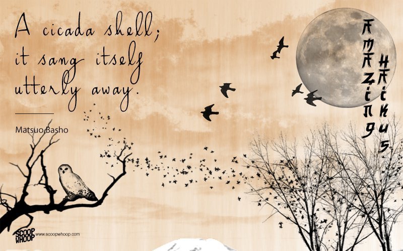 30 Mesmerising Haikus That Perfectly Capture The Essence Of Life And Loss - ScoopWhoop