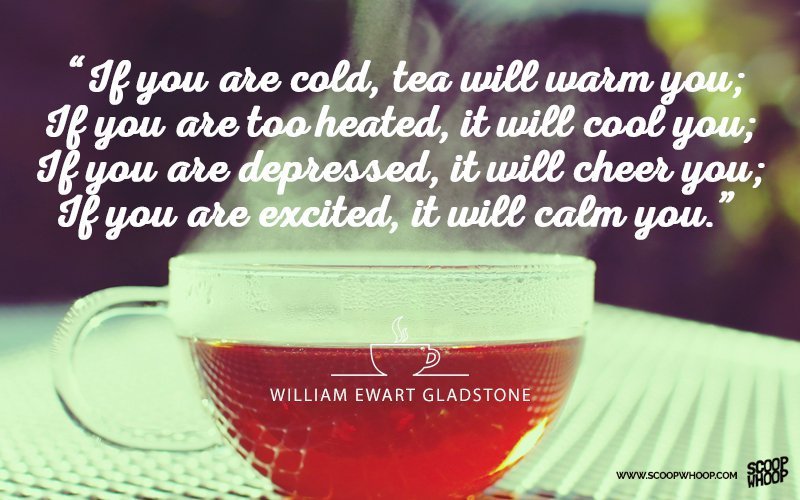 30 Best Chai Quotes | 30 Quotes For Every Chai Lover