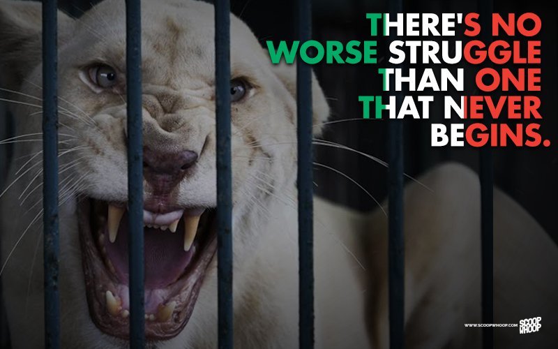 27 Mexican Proverbs That Prove They Are A Philosophical Lot