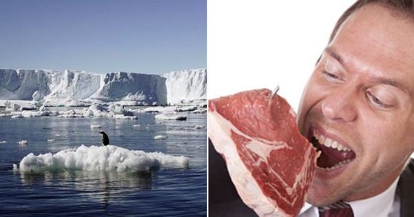 If You Want To Save Earth, You Need To Start Eating Less Meat - ScoopWhoop