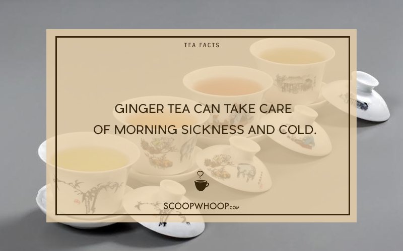 24 Amazing Tea Facts You Should Know As You Have Your Morning Cup Of ...