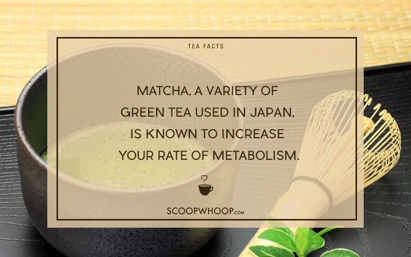 24 Amazing Tea Facts You Should Know As You Have Your Morning Cup Of ...