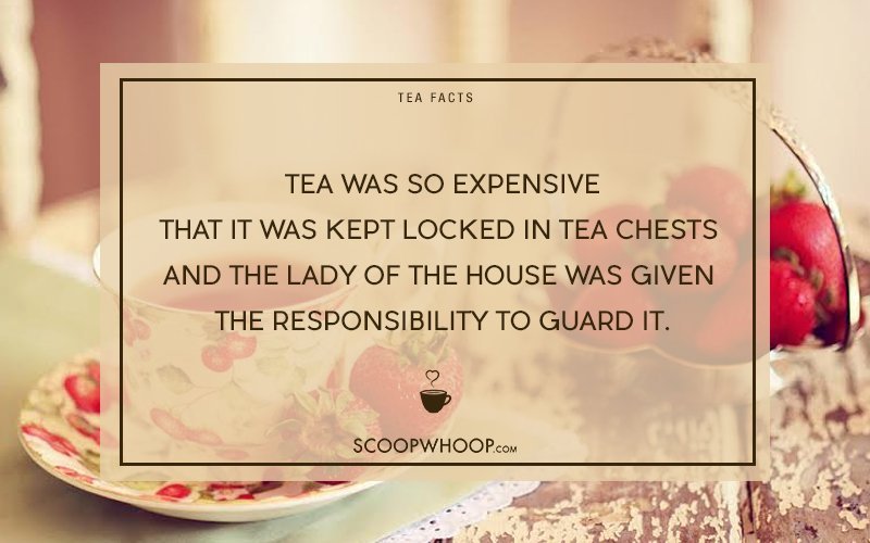 24 Amazing Tea Facts You Should Know As You Have Your Morning Cup Of ...