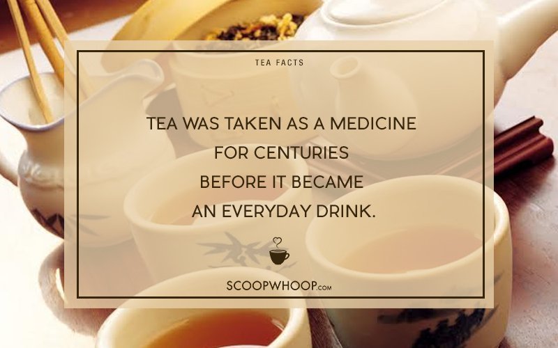 24 Amazing Tea Facts You Should Know As You Have Your Morning Cup Of ...