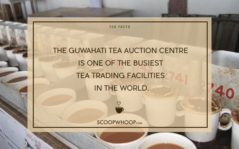 24 Amazing Tea Facts You Should Know As You Have Your Morning Cup Of ...