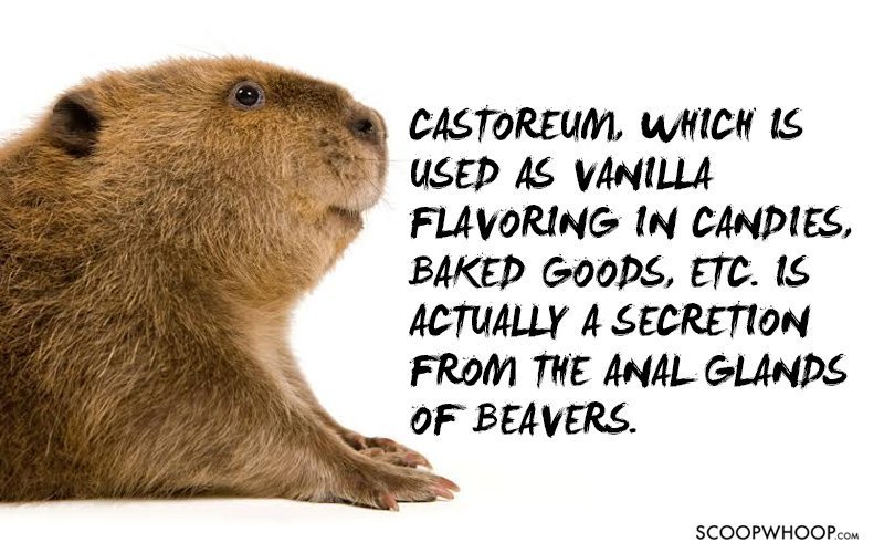 30 Interesting Facts About Food We Bet You Had No Idea About - ScoopWhoop