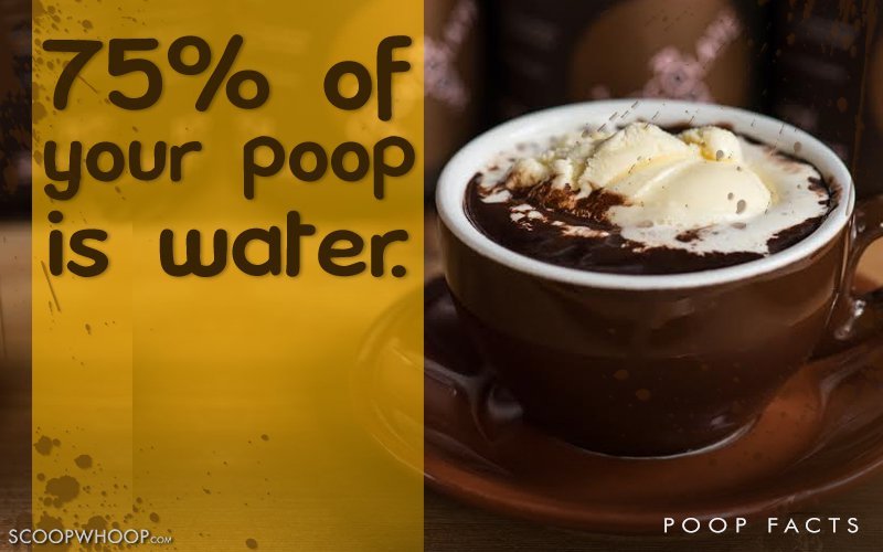 16 Interesting Things You Never Knew About Poop